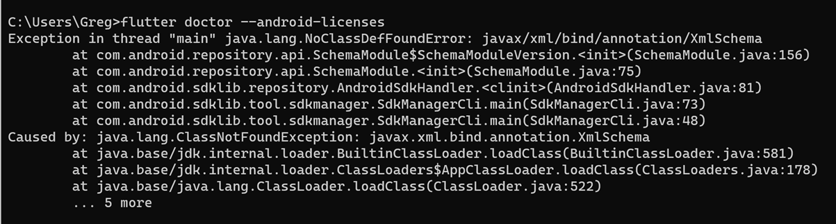 Flutter doctor – Android licenses status unknown – GKOKOT.COM